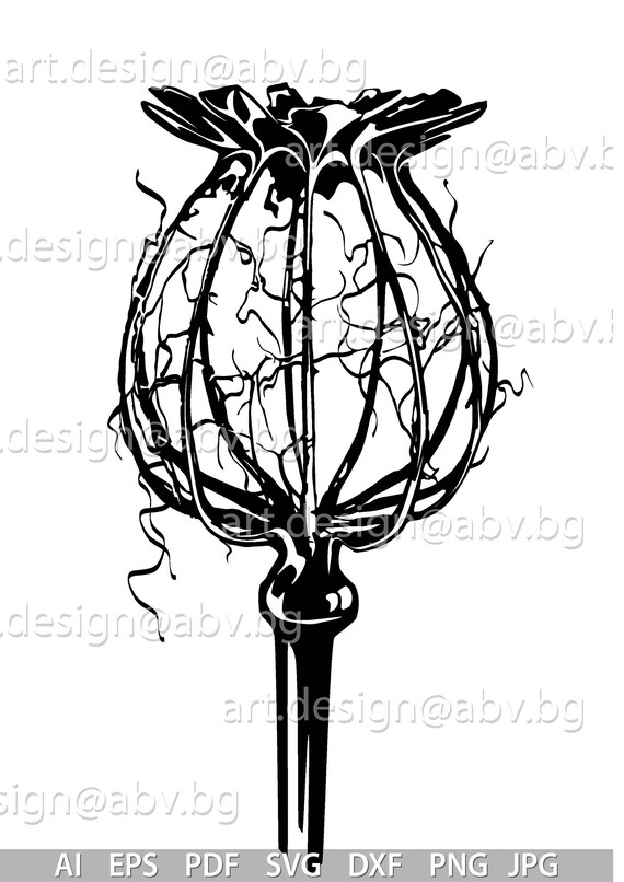 Poppy Pod Line Drawing