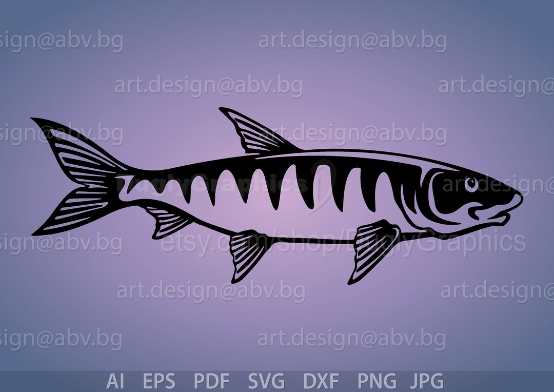 Vector BONEFISH, Ai, Eps, Pdf, Png, Svg, Dxf, Jpg Graphic Digital ...