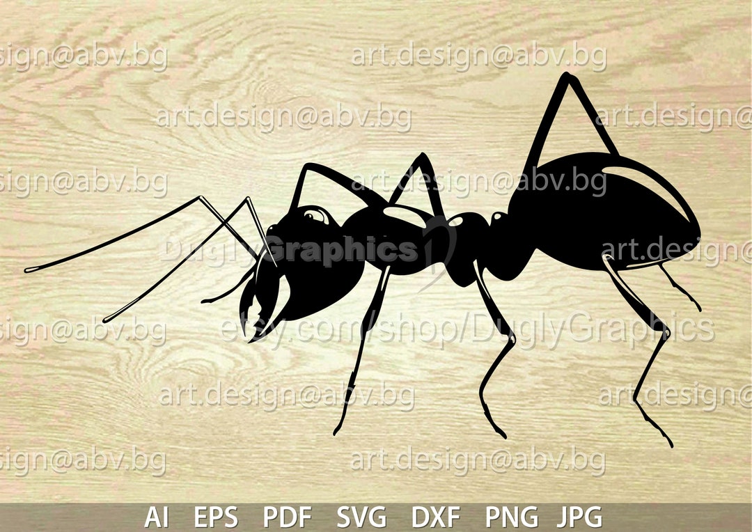 Vector ANT, SVG, AI, Eps, Pdf, Svg, Dxf, Png, Jpg Download, Digital ...