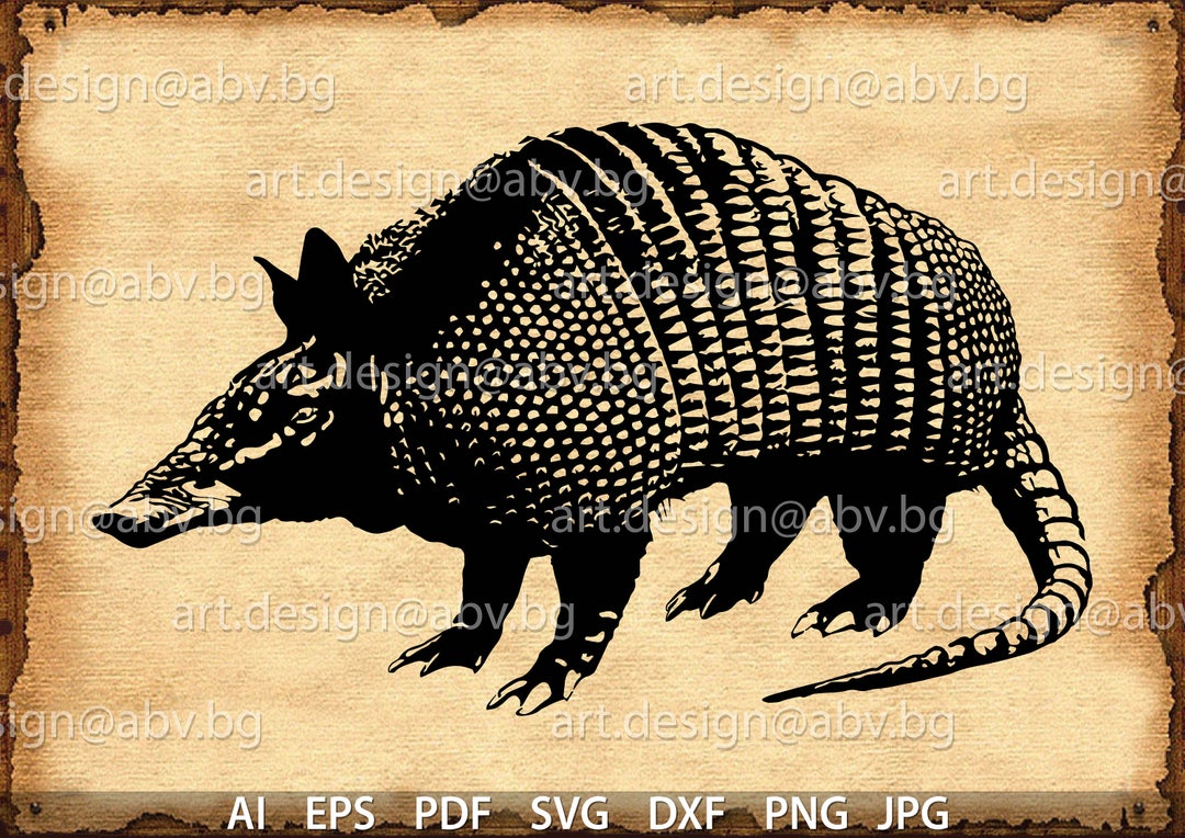 Vector ARMADILLO, AI, Eps, Pdf, SVG, Dxf, Png, Jpg Instant Download ...