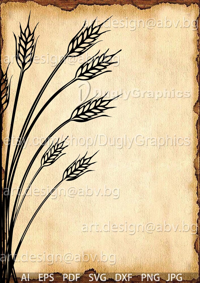 Vector GRAIN GRADE Ai Eps Pdf SVG Dxf Png Jpg Download - Etsy