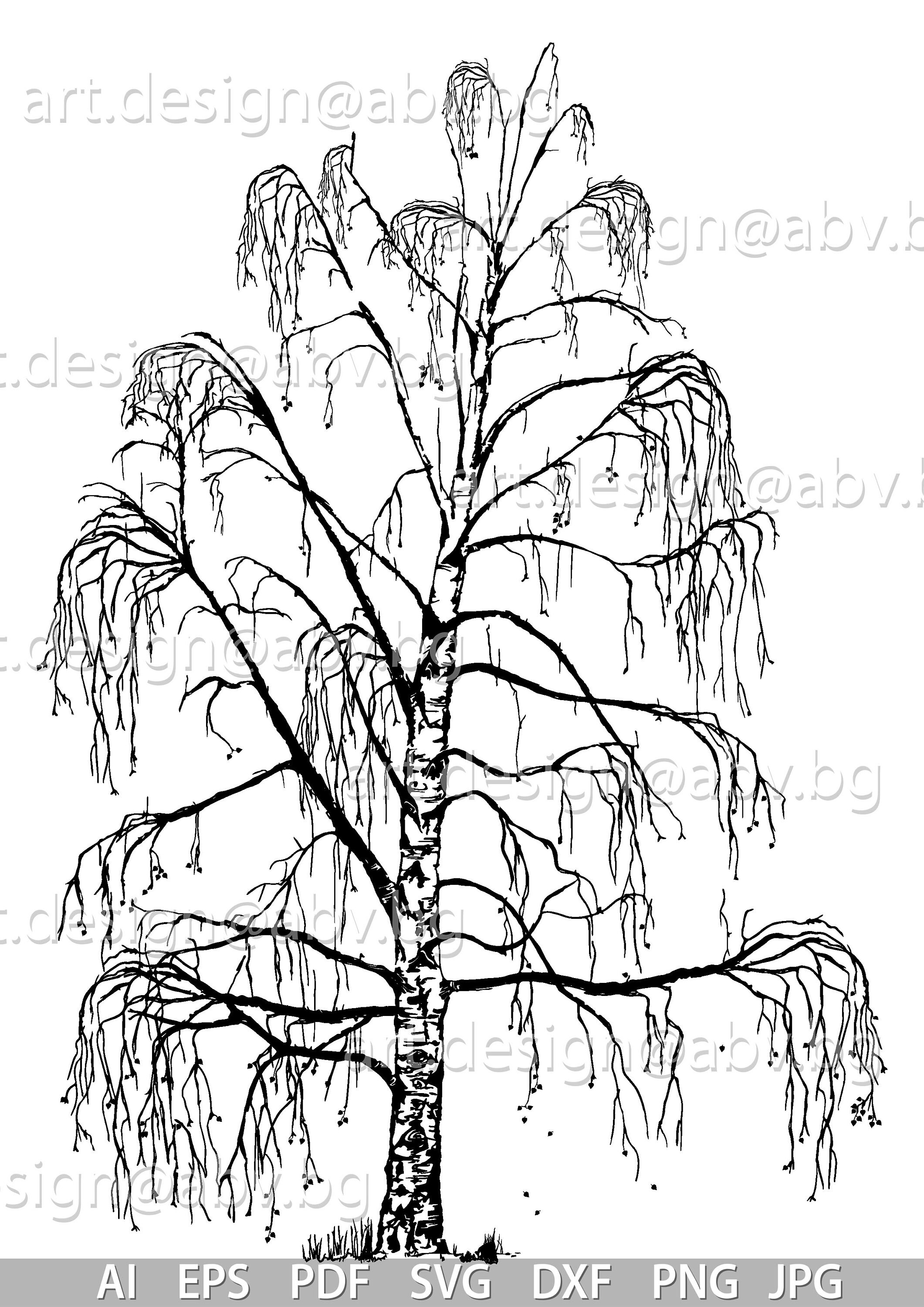Vector BIRCH Printable Tree AI PNG Pdf Eps Svg Dxf Jpg - Etsy Canada