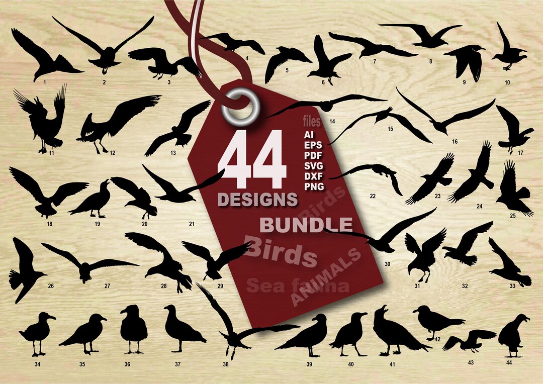 Vector 44 SEAGULL BUNDLE, Larus, Ai, Eps, Pdf, Svg, Dxf, PNG, Jpg Files ...