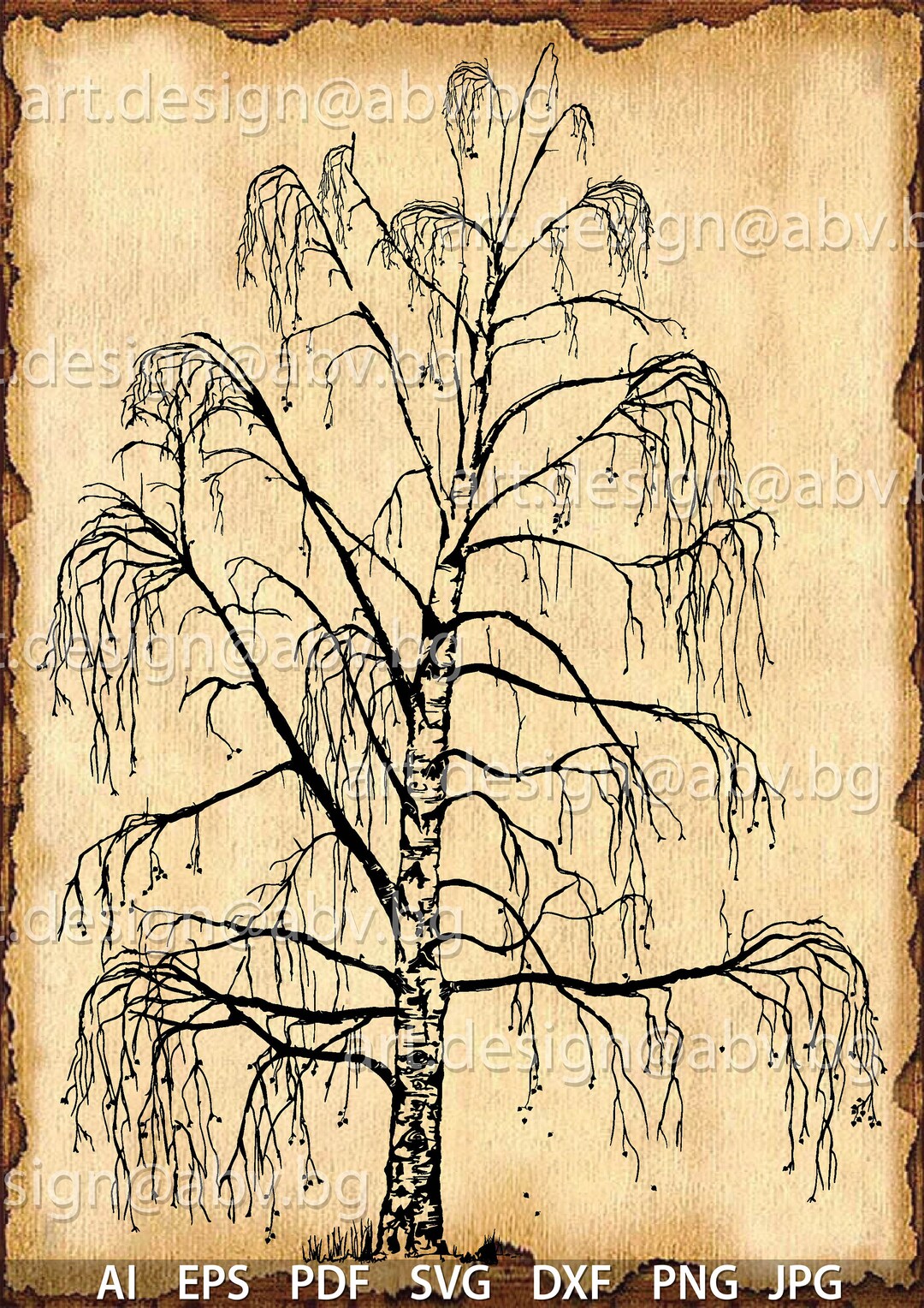 Vector BIRCH, Printable Tree, AI, PNG, Pdf, Eps, Svg, Dxf, Jpg Download ...