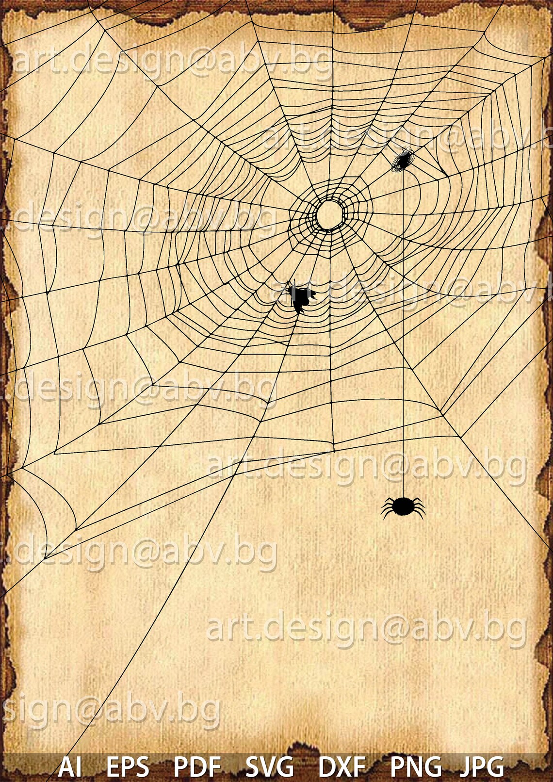 Vector COBWEB Spider Download Digital Image Graphical AI - Etsy