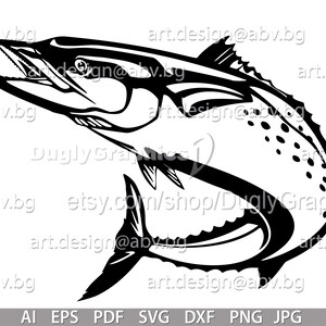 Vector SPANISH MACKEREL, Ai, Eps, Pdf, Png, Svg, Dxf, Jpg Image Graphic ...