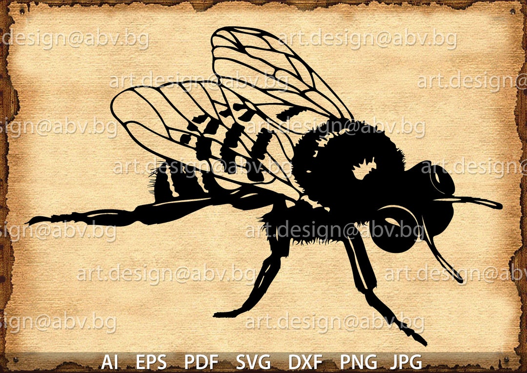 Vector FLY, AI, Eps, Pdf, PNG, Svg, Dxf, Jpg Download, Digital Image ...