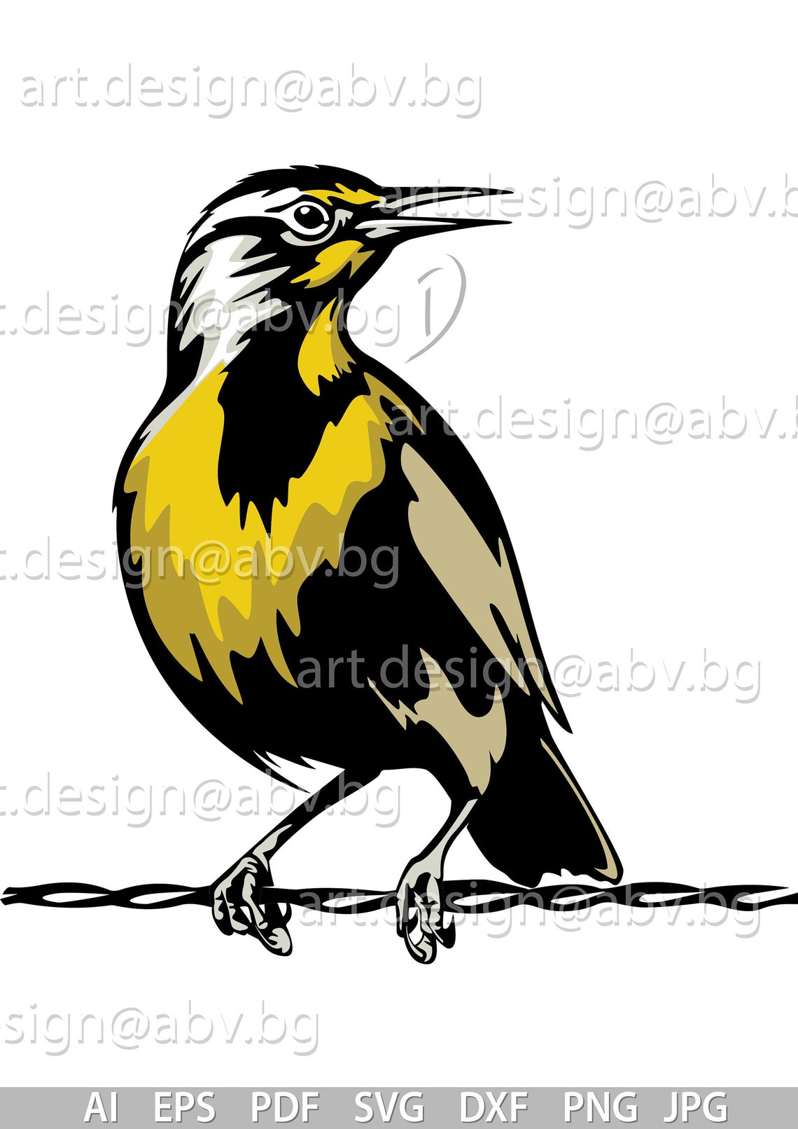 Vector BIRD Colored Western Meadowlark AI Eps Pdf SVG | Etsy