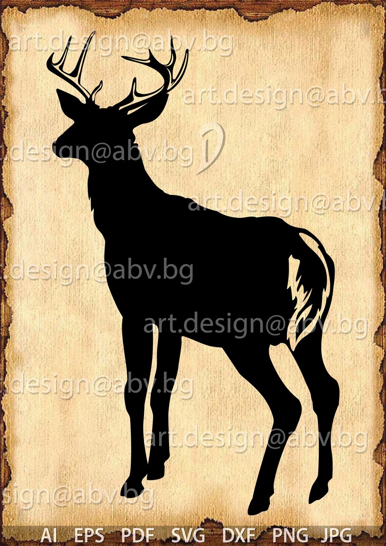Vector WHITE TAIL STAG Deer Body Ai Eps Pdf Svg Dxf | Etsy