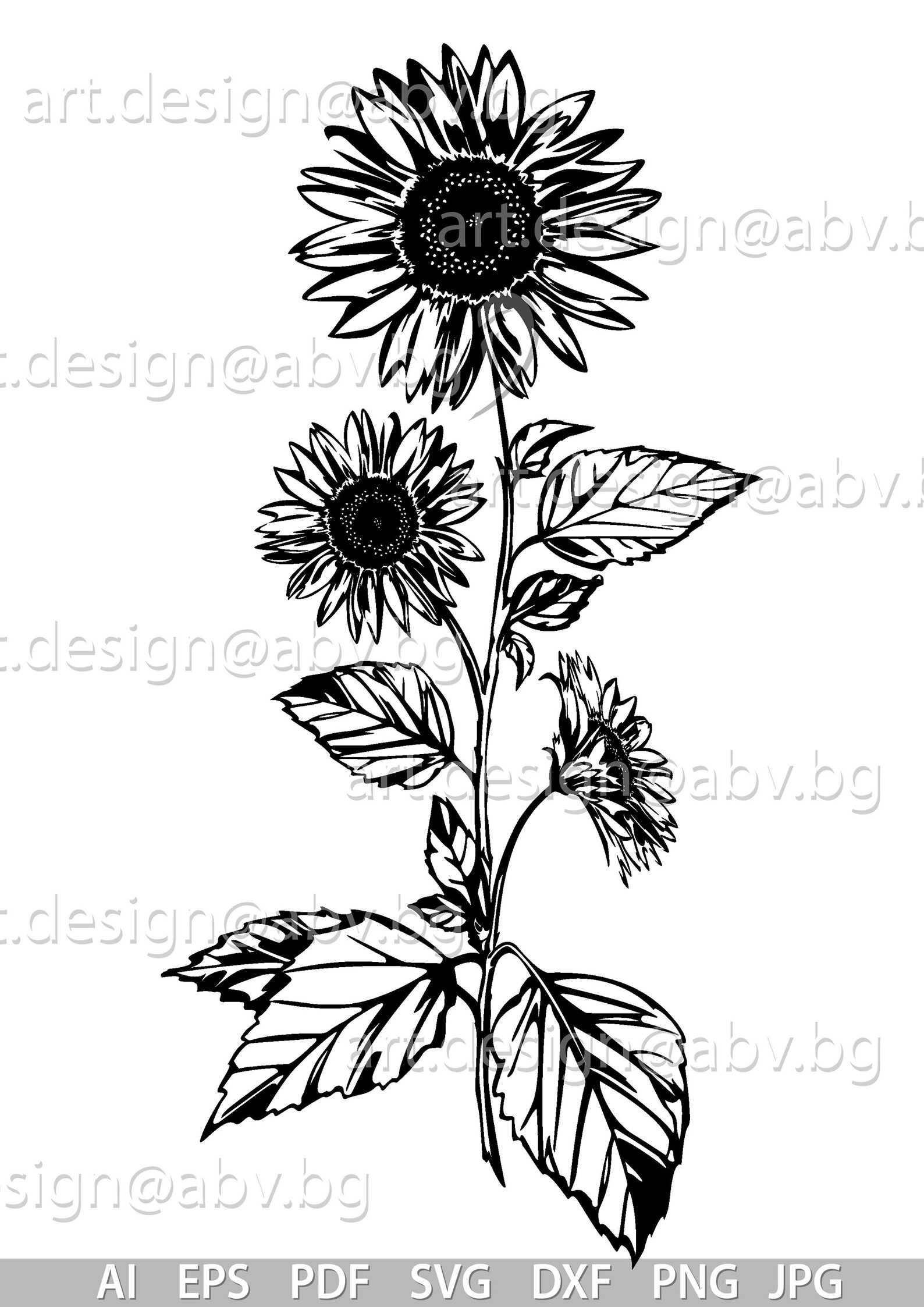 Vector SUNFLOWER AI Eps Pdf Svg Dxf Png Jpg Download | Etsy