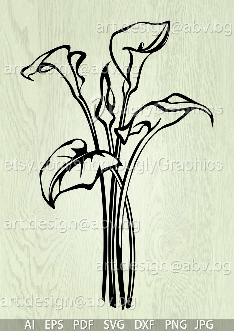 Vector CALLA AI Eps Pdf Png Svg Dxf Jpg Download Files - Etsy