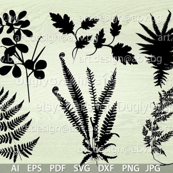 Fern Svg - Etsy