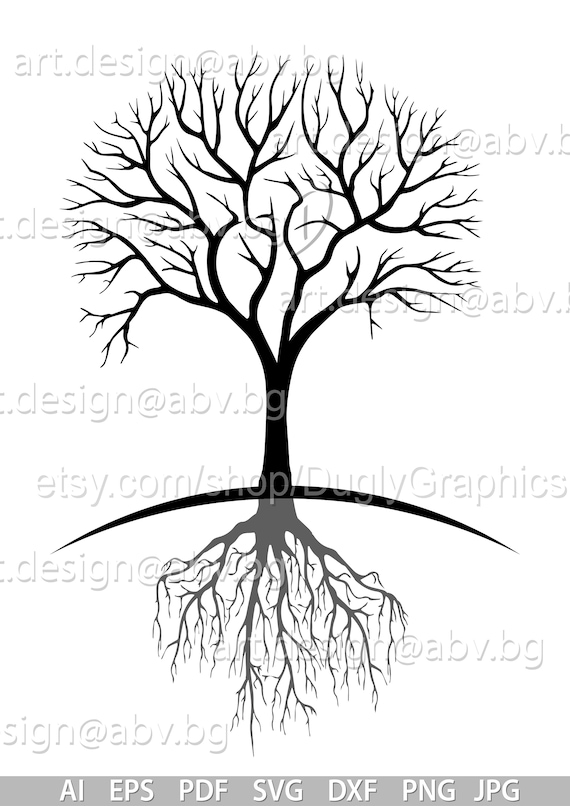 Tree Roots Vector Png
