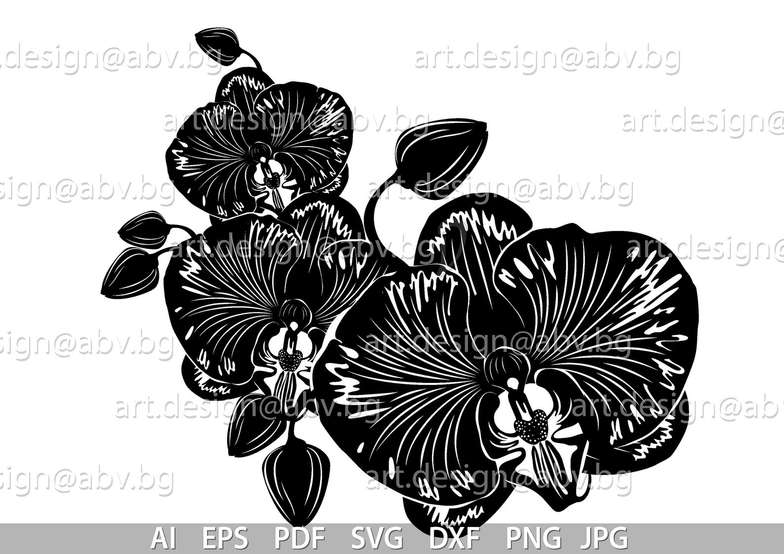 Vector ORCHID, AI, Eps, Pdf, Svg, Dxf, Png, Jpg Download Files, Digital ...