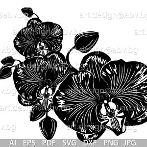Vector ORCHID, AI, Eps, Pdf, Svg, Dxf, Png, Jpg Download Files, Digital ...