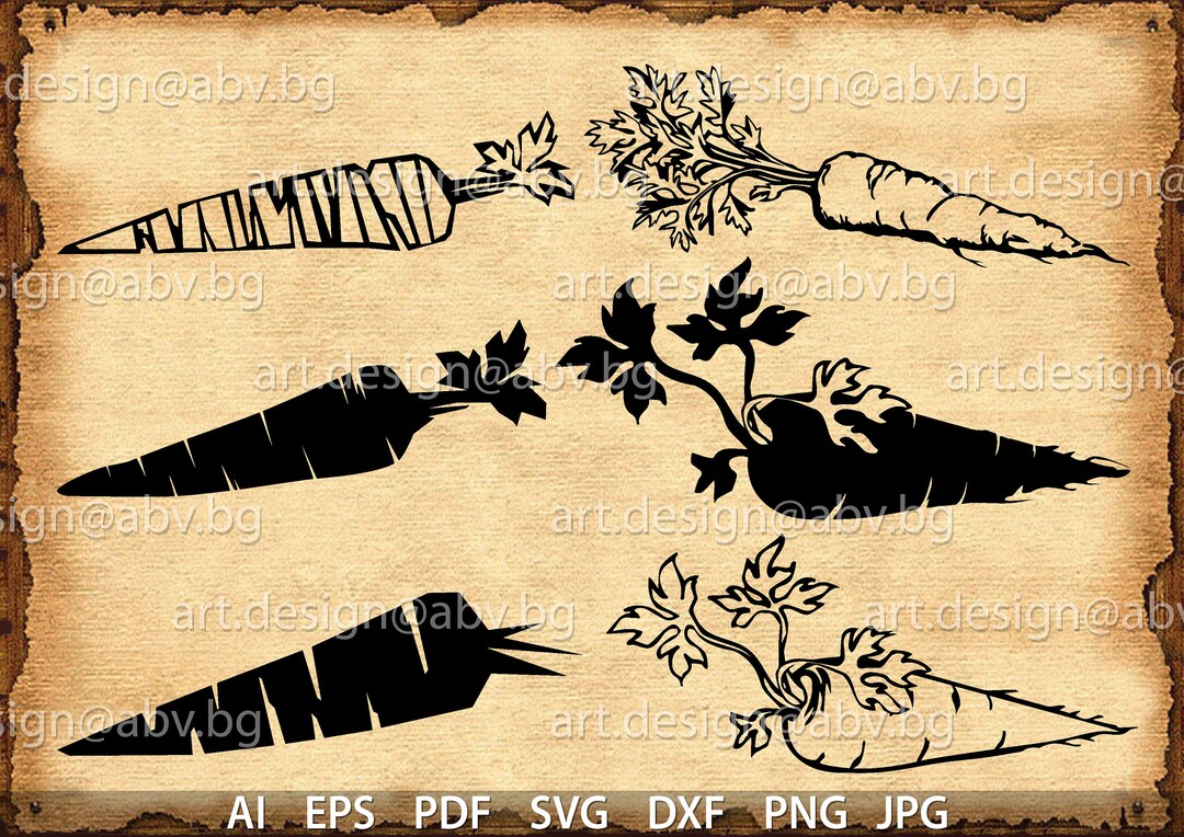 Vector CARROTS, AI, Eps, Pdf, Svg, Png, Dxf, Jpg Download, Digital ...