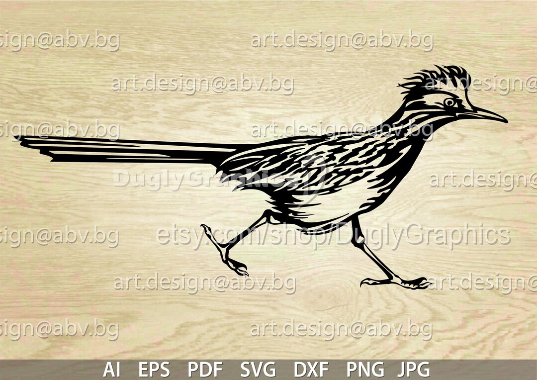 Vector BIRD, AI, Eps, Pdf, SVG, Dxf, Png, Jpg Download, Digital Image ...