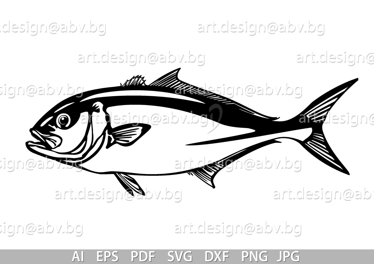 Vector FISH Amberjack AI Eps Pdf PNG Svg Dxf Jpg Image - Etsy