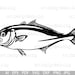 Vector FISH Amberjack AI Eps Pdf PNG Svg Dxf Jpg Image - Etsy