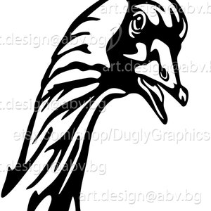 Vector HAWAIIAN GOOSE NENE Head, Svg, Ai, Eps, Pdf, Png, Dxf, Jpg Bird ...