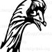 Vector HAWAIIAN GOOSE NENE Head, Svg, Ai, Eps, Pdf, Png, Dxf, Jpg Bird ...