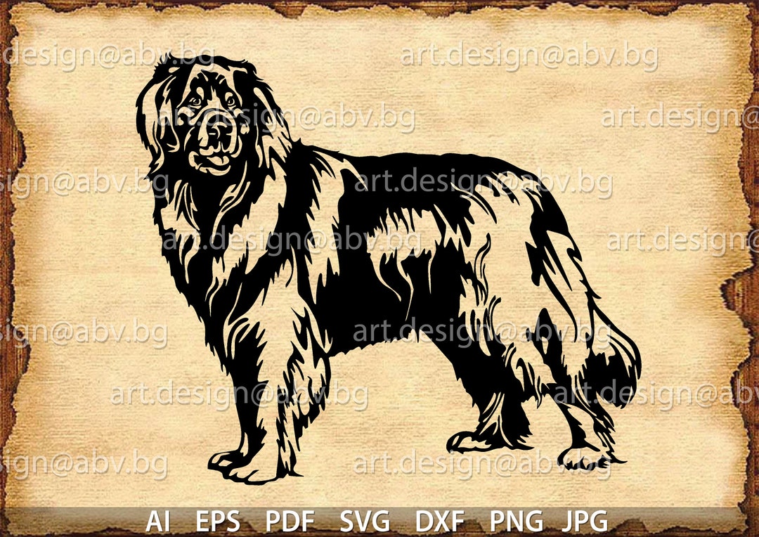 Vector LEONBERGER, Dog, SVG, Ai, Png, Pdf, Eps, Dxf, Jpg Download ...