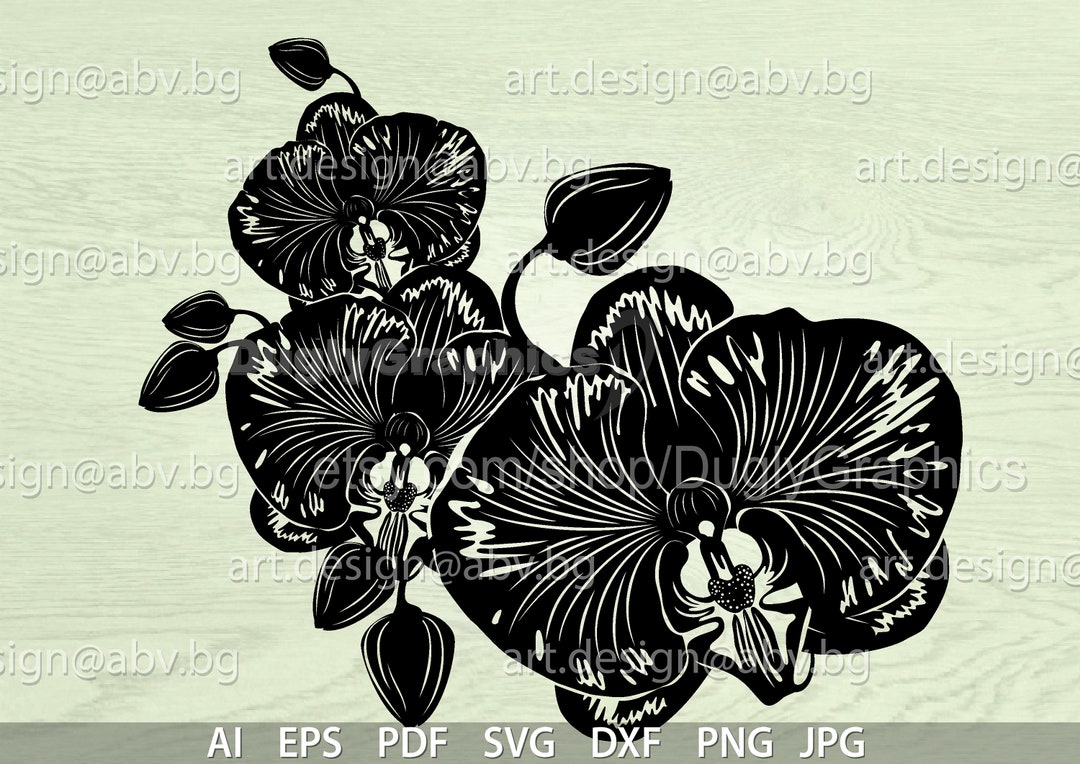 Vector ORCHID, AI, Eps, Pdf, Svg, Dxf, Png, Jpg Download Files, Digital ...