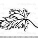 Vector LEAF Vine AI Eps Pdf Svg Dxf Png Jpg Download Files Digital ...