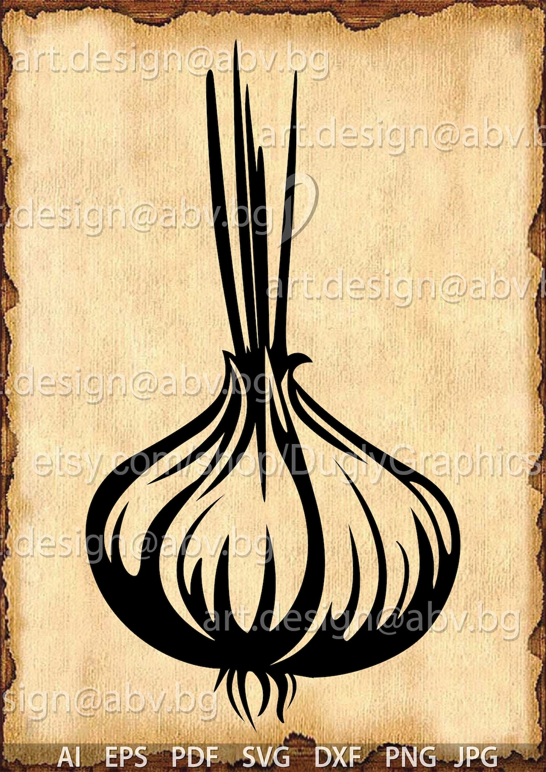 Onion Vector Drawing: Graphic Art (digital Download) - Etsy