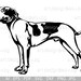 Bull Arab Dog Vector, Pig Dog Art (digital Download) - Etsy