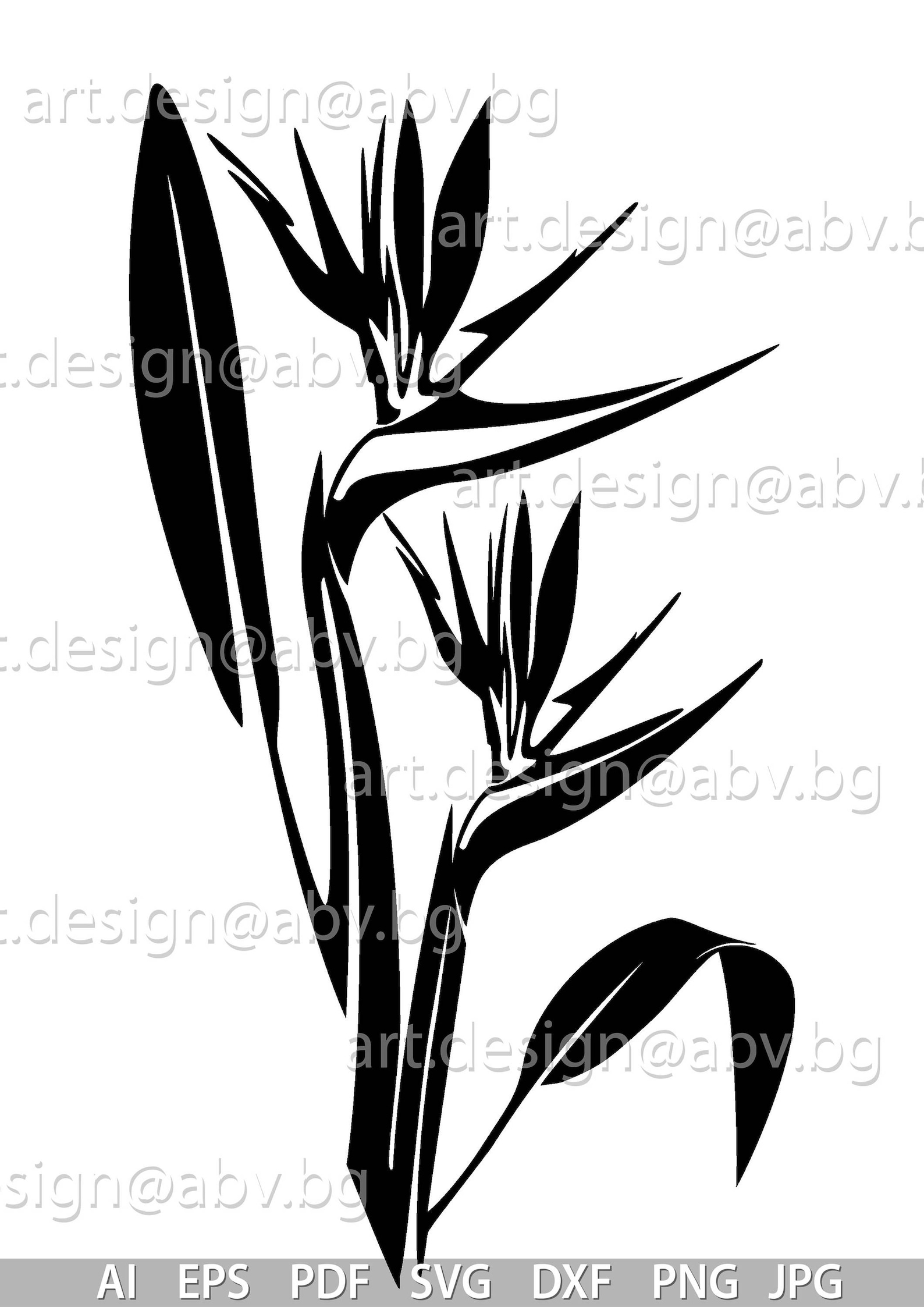 Vector STRELITZIAS, AI, PNG, Eps, Pdf, Svg, Dxf, Jpg Download Files ...