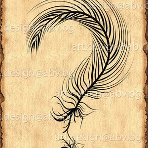 Vector FEATHER, Question Mark, AI, Eps, Pdf, Svg, Png, Dxf, Jpg ...