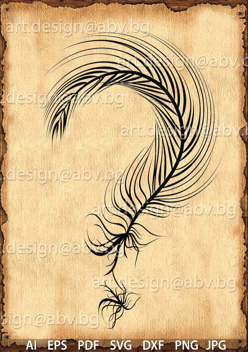 Vector FEATHER Question Mark AI Eps Pdf Svg Png Dxf - Etsy