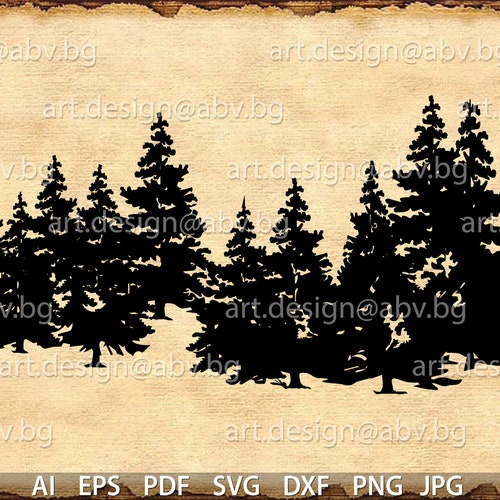 Vector CONIFERS Evergreen AI Eps Pdf Svg Dxf Png Jpg - Etsy