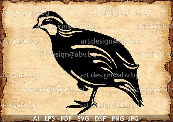 Dibujo De Codorniz Bobwhite Quail Arte Impresión Par De Codorniz