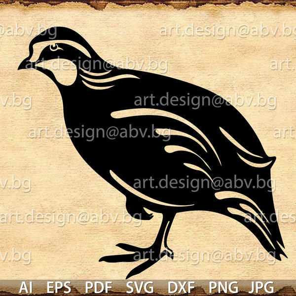 Bobwhite Quail Svg - Etsy