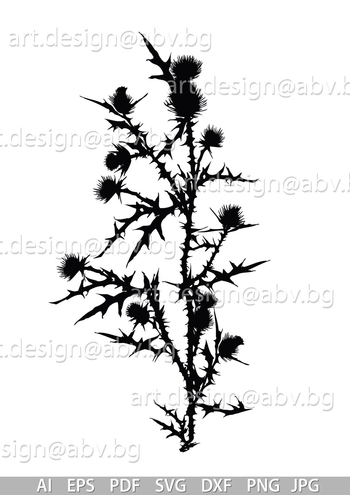 Vector THISTLE AI Eps Pdf SVG Dxf Png Jpg Download - Etsy