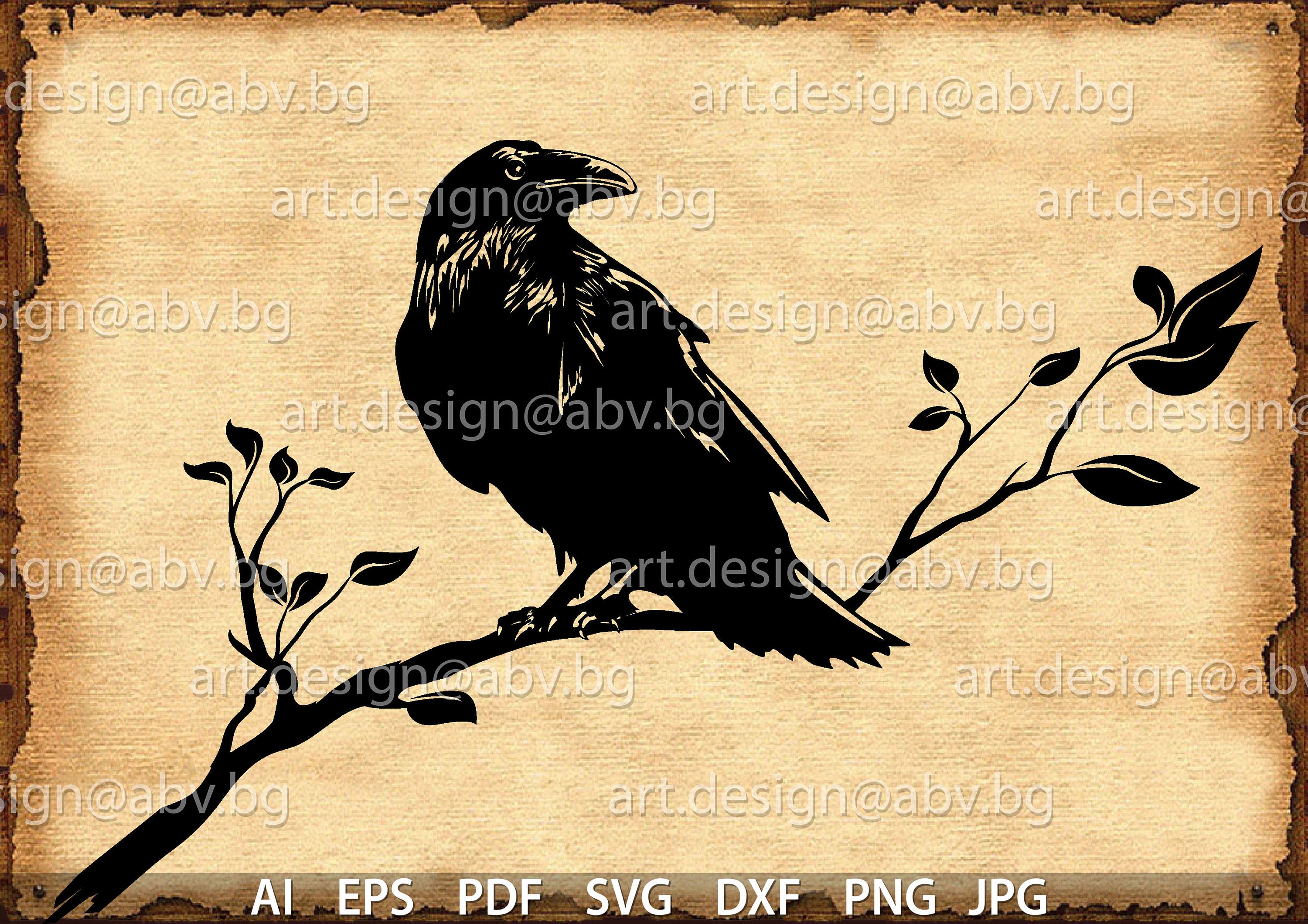 Vector BIRD Raven AI Eps Pdf Png Svg Dxf Jpg Files | Etsy Canada