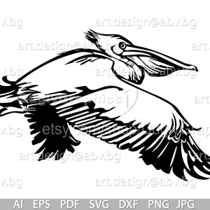 Vector PELICAN, AI, PNG, Pdf, Eps, Svg, Dxf, Jpg Download, Digital ...