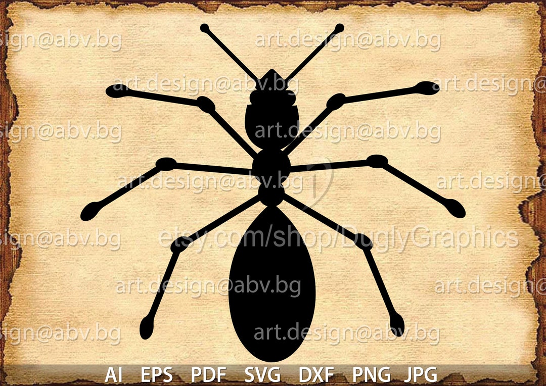 Vector ANT, AI, Eps, Pdf, SVG, Dxf, Png, Jpg Download, Digital Image ...