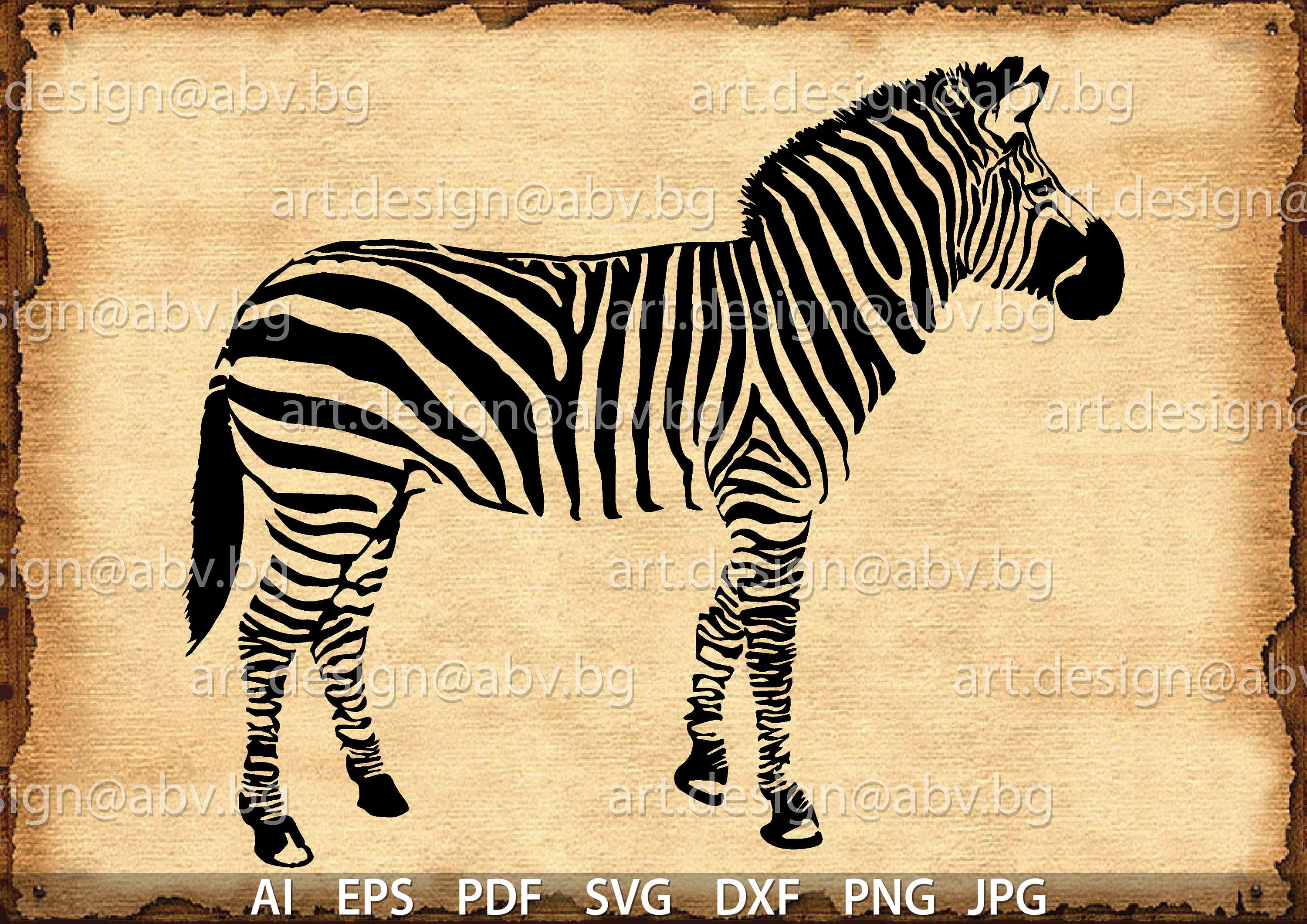 Vector ZEBRA AI Eps Pdf SVG Dxf Png Jpg Download | Etsy New Zealand