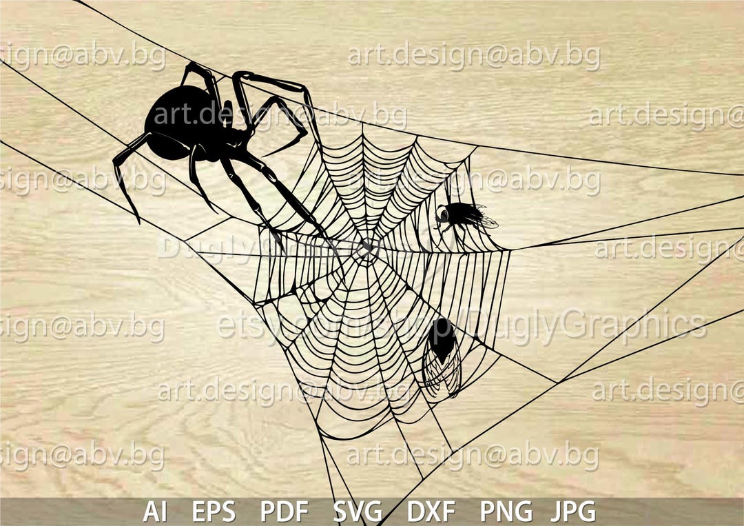Cobweb With Spider and Flies Vector Graphic (digital Download) - Etsy