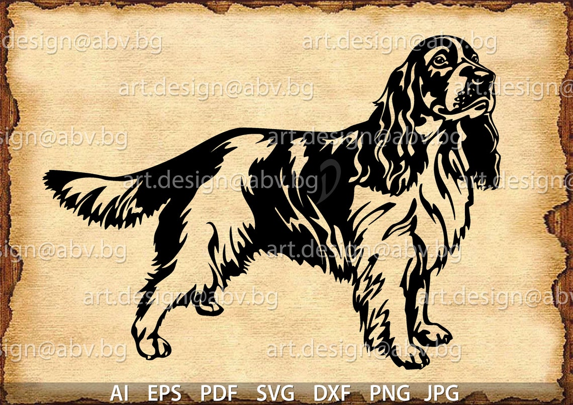 Vector SPRINGER SPANIEL dog pet ai eps SVG dxf pdf | Etsy