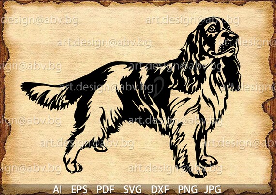 Vector SPRINGER SPANIEL dog pet ai eps SVG dxf pdf | Etsy