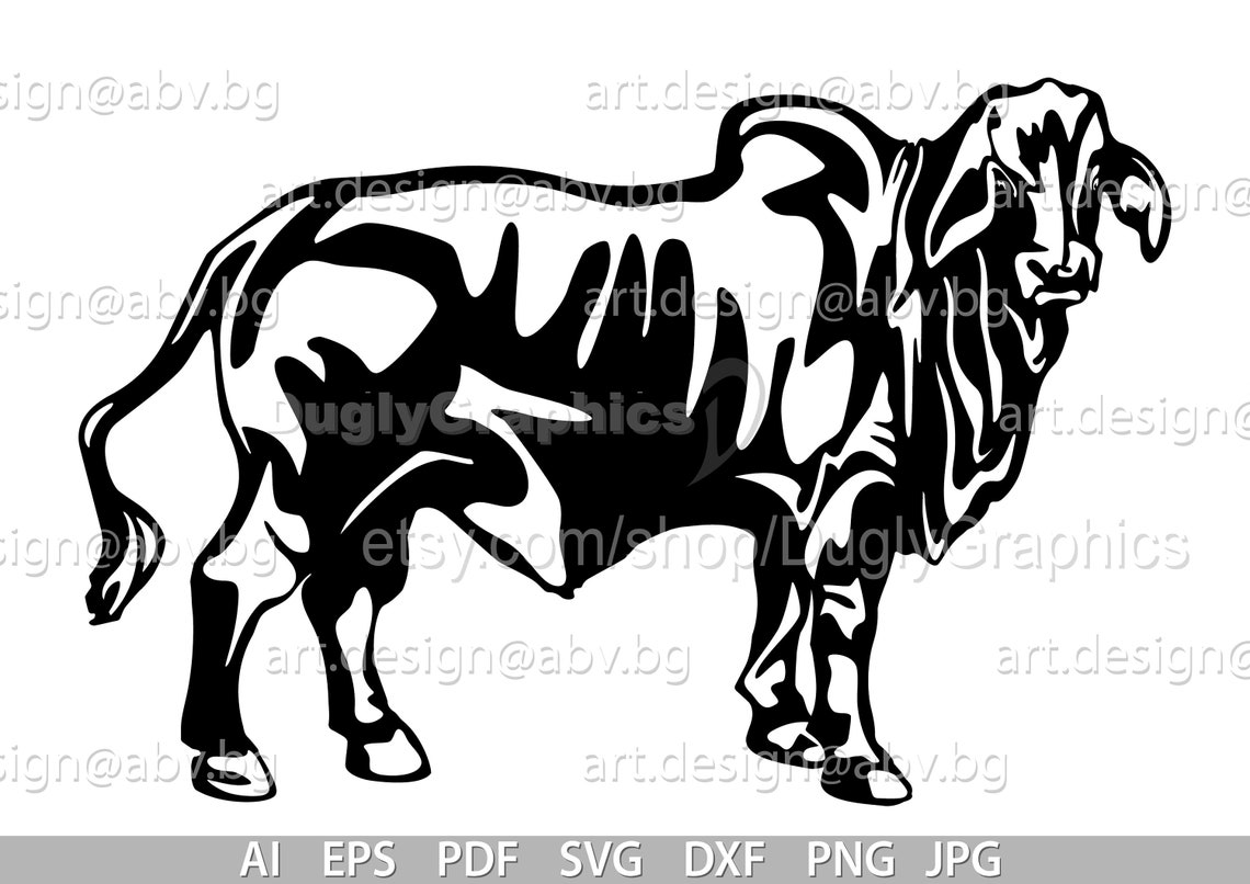 Vector COW Brahman AI PNG Eps Pdf Svg Dxf Jpg Instant - Etsy