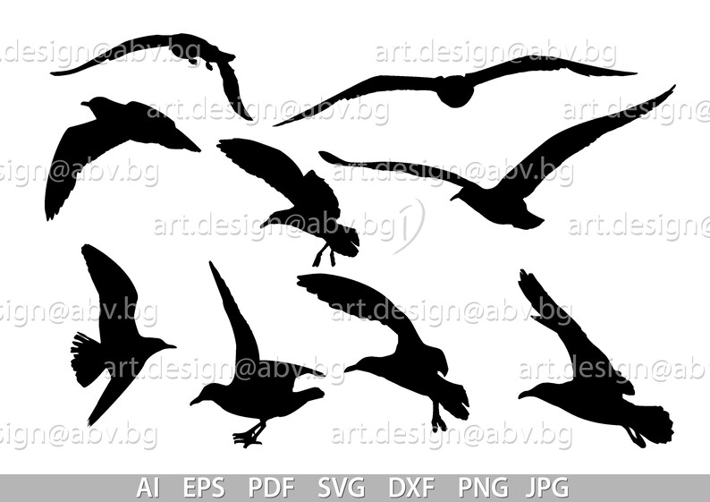 Vector BIRDS Ai Eps SVG Pdf Dxf Png Jpg Download - Etsy