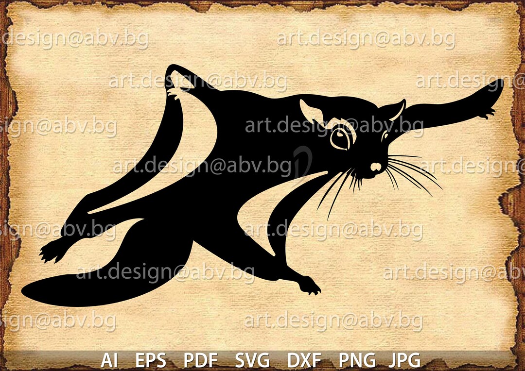 Stylized Flying Squirrel Vector Graphic (digital Download) - Etsy