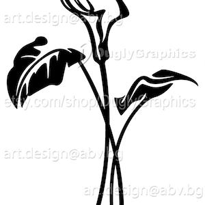 Vector CALLA Flower, AI, Eps, Pdf, Png, Svg, Dxf, Jpg Download Digital ...