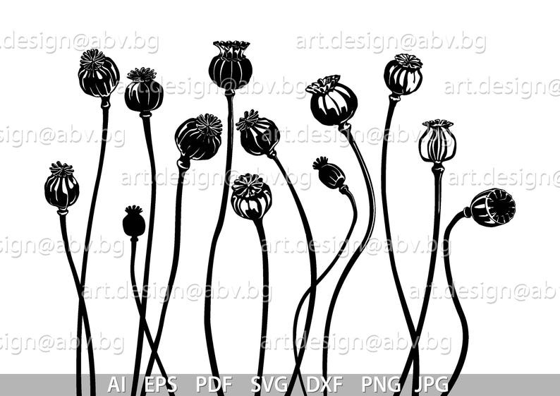 Vector POPPY PODS, Ai, Eps, Png, Pdf, SVG, Dxf, Jpg Download, Digital ...
