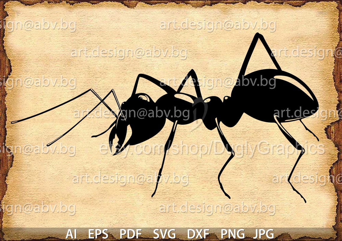 Vector ANT SVG AI Eps Pdf Svg Dxf Png Jpg Download | Etsy